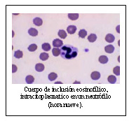 Diagnóstico de Distemper Canino – VetPraxis