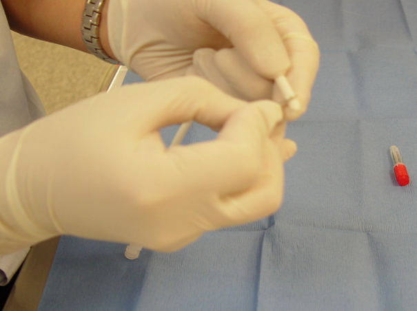 ¿Cómo insertar un tubo de esofagostomía? – VetPraxis